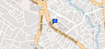 tocci Fish ቶቺ ዓሣ, Sarbet, Addis Ababa, phone +251 90 855 5333