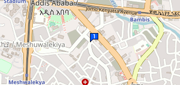 Adera Internal Medical Speciality Center Flamingo አደራ ኢንተርናሽናል ሜዲካል ...